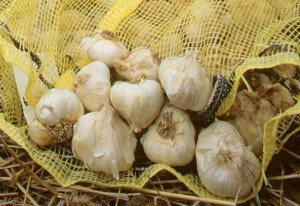Valorile nutritive ale legumelor, inclusiv calorii